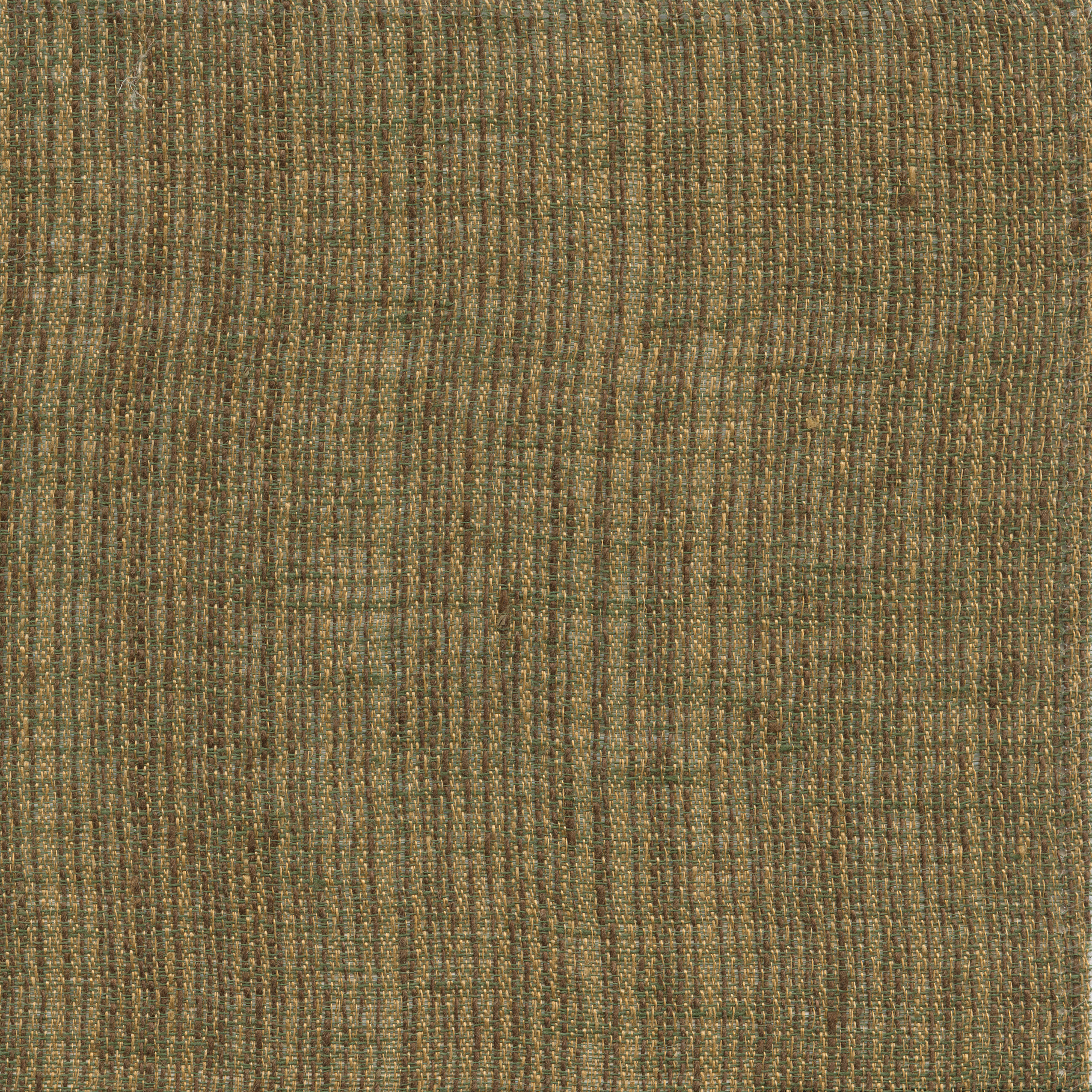 ARBOLADO YP24005 | Designs of the Time