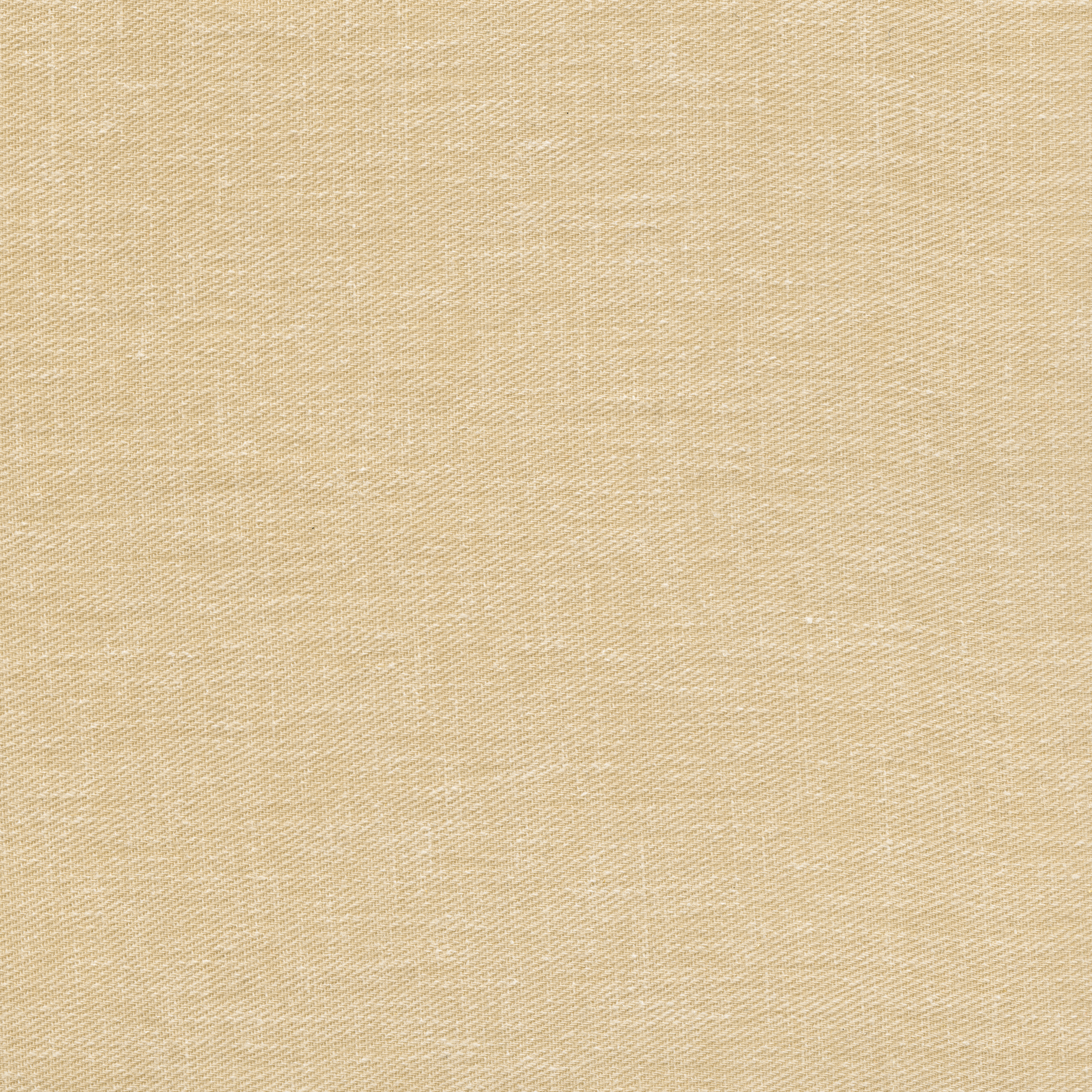 ARGIA YP25008 | Designs of the Time