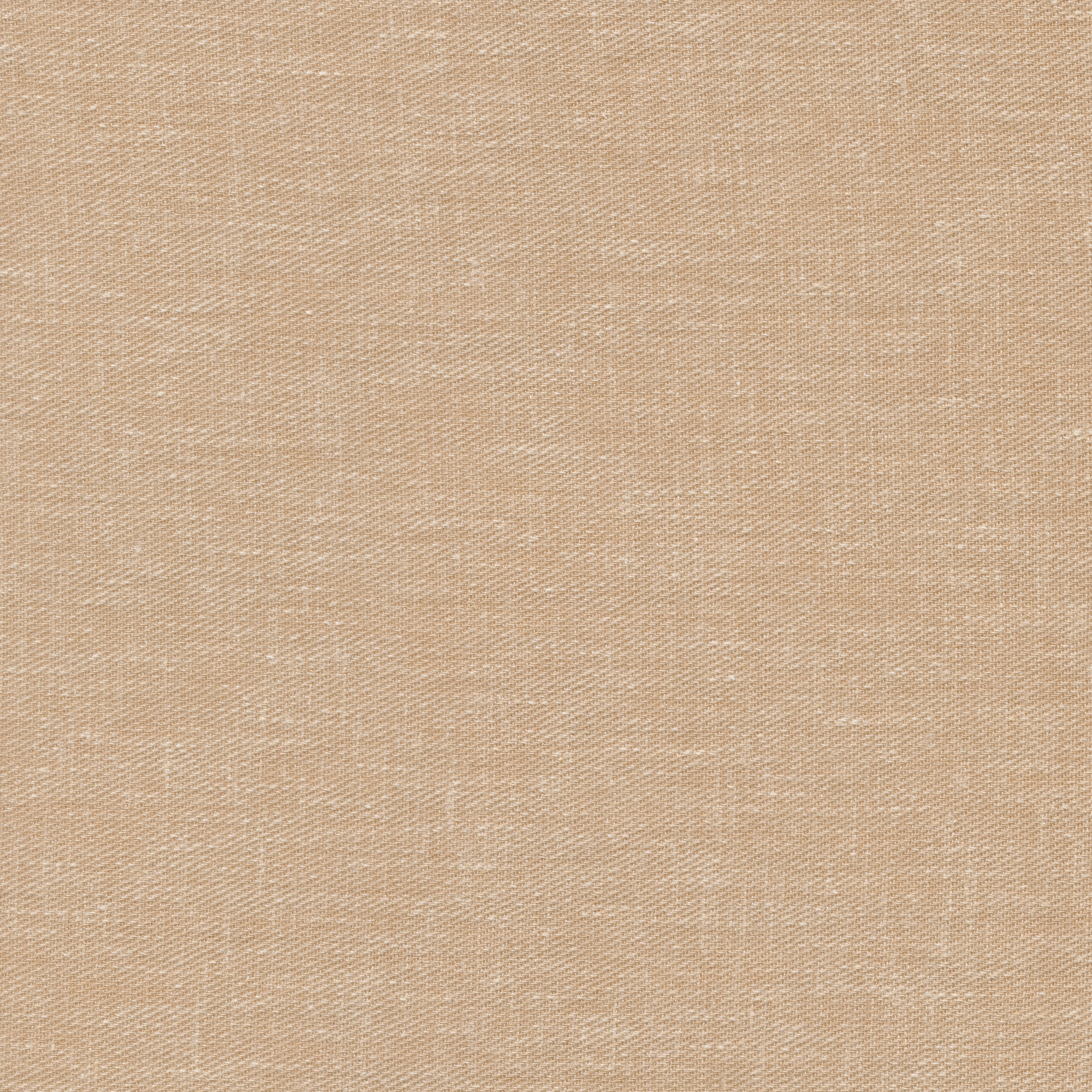 ARGIA YP25010 | Designs of the Time