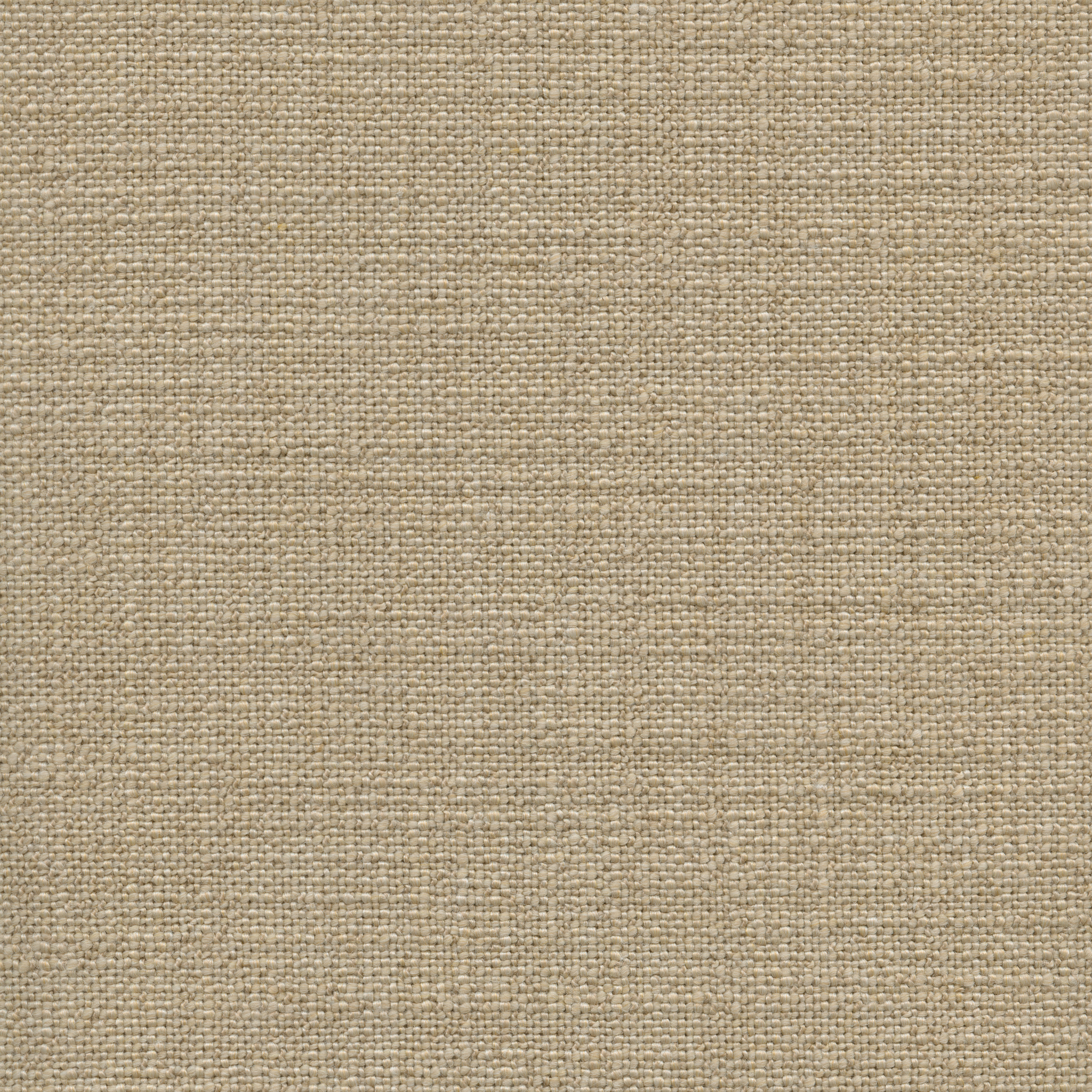 BIKAINA YP25004 | Designs of the Time