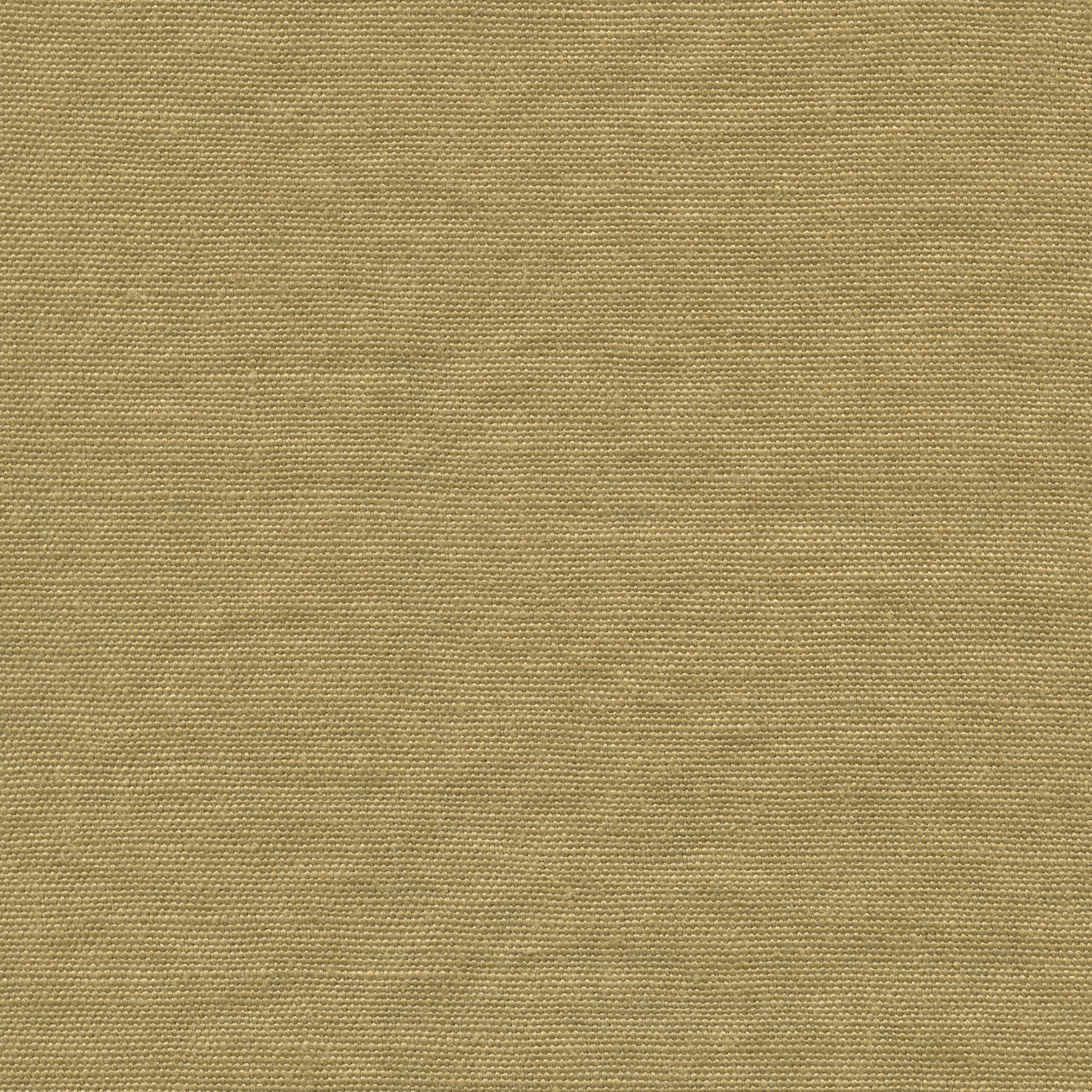 DHARTI YP26008 | Designs of the Time