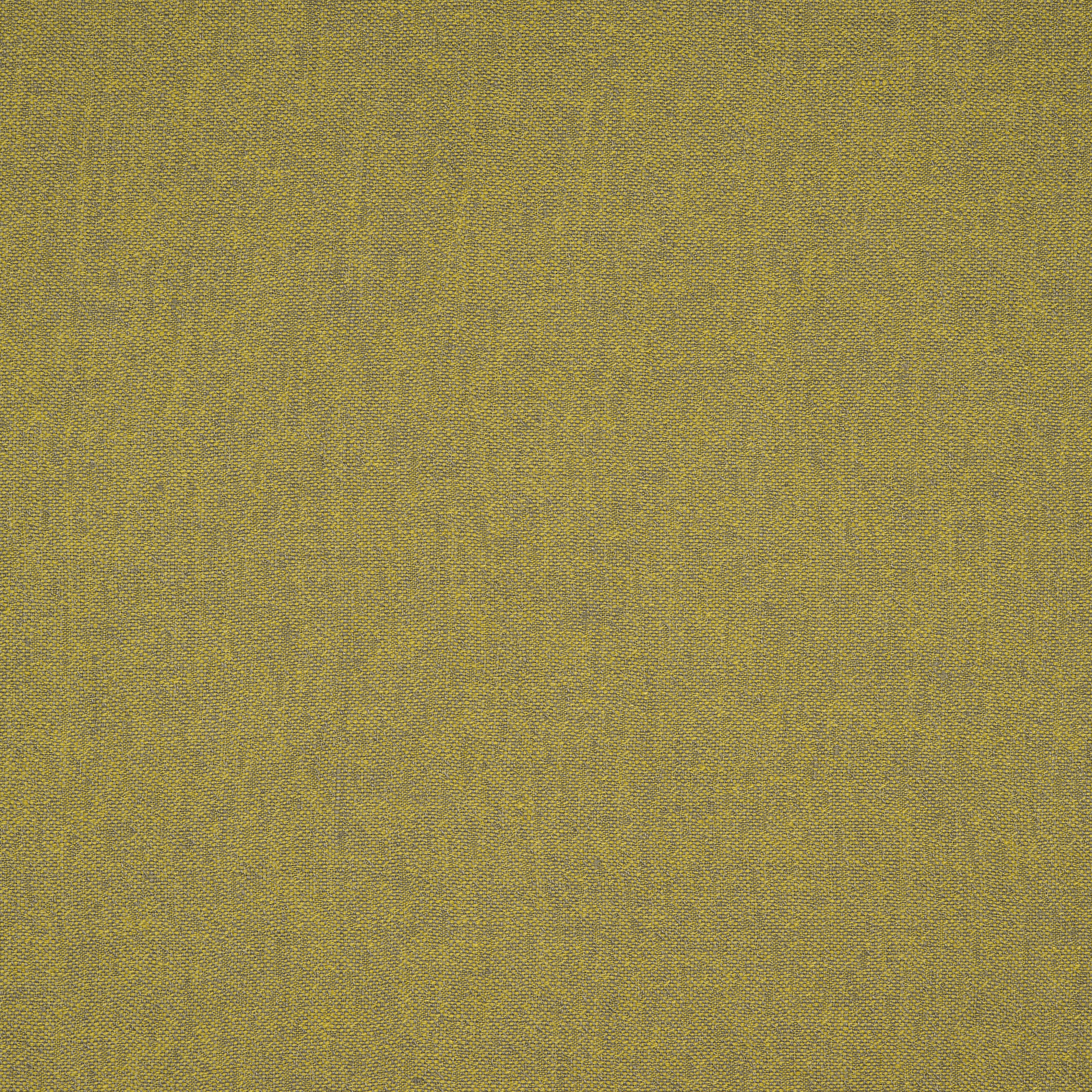 MANIPI YP16033 | Designs of the Time