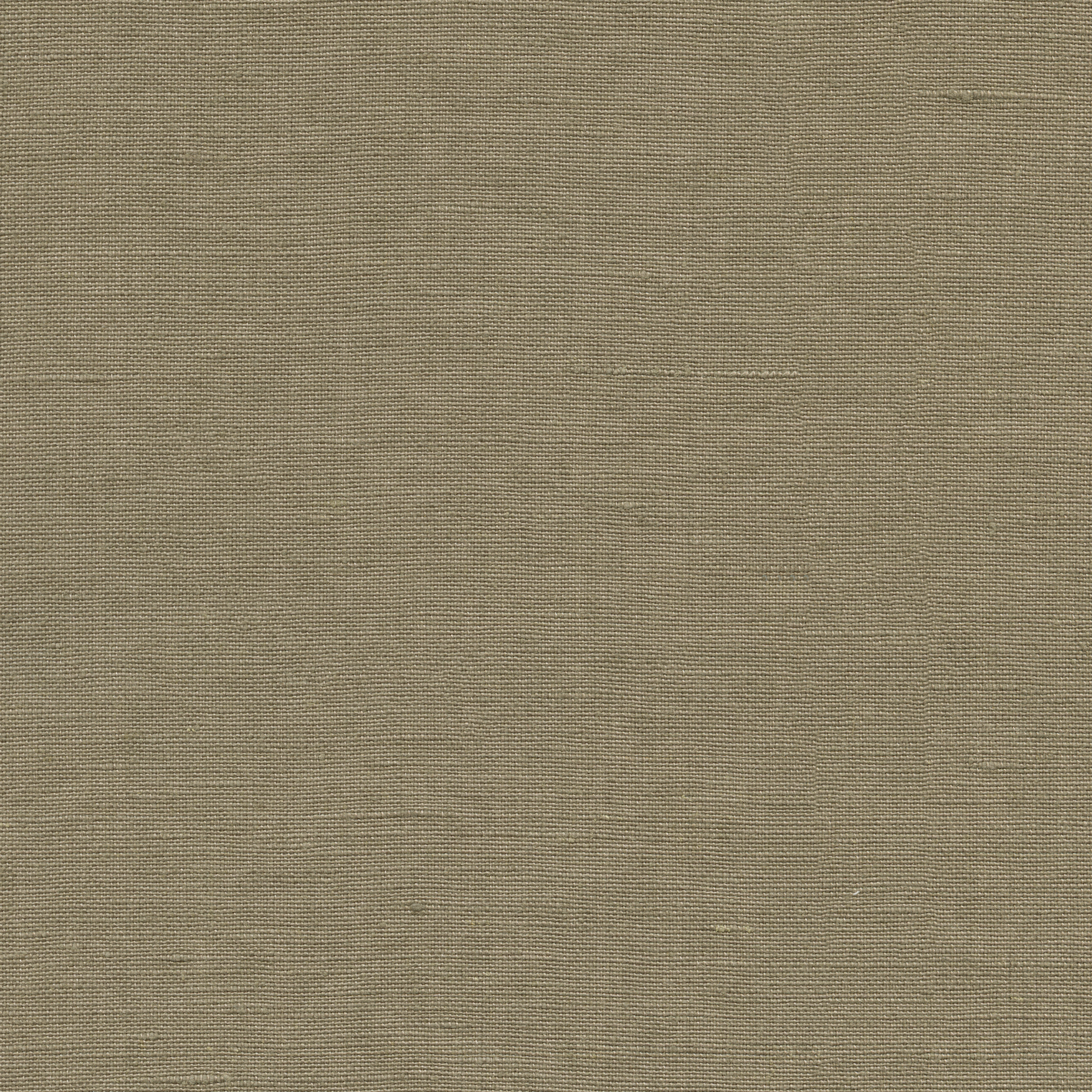 TARANA YP21023 | Designs of the Time