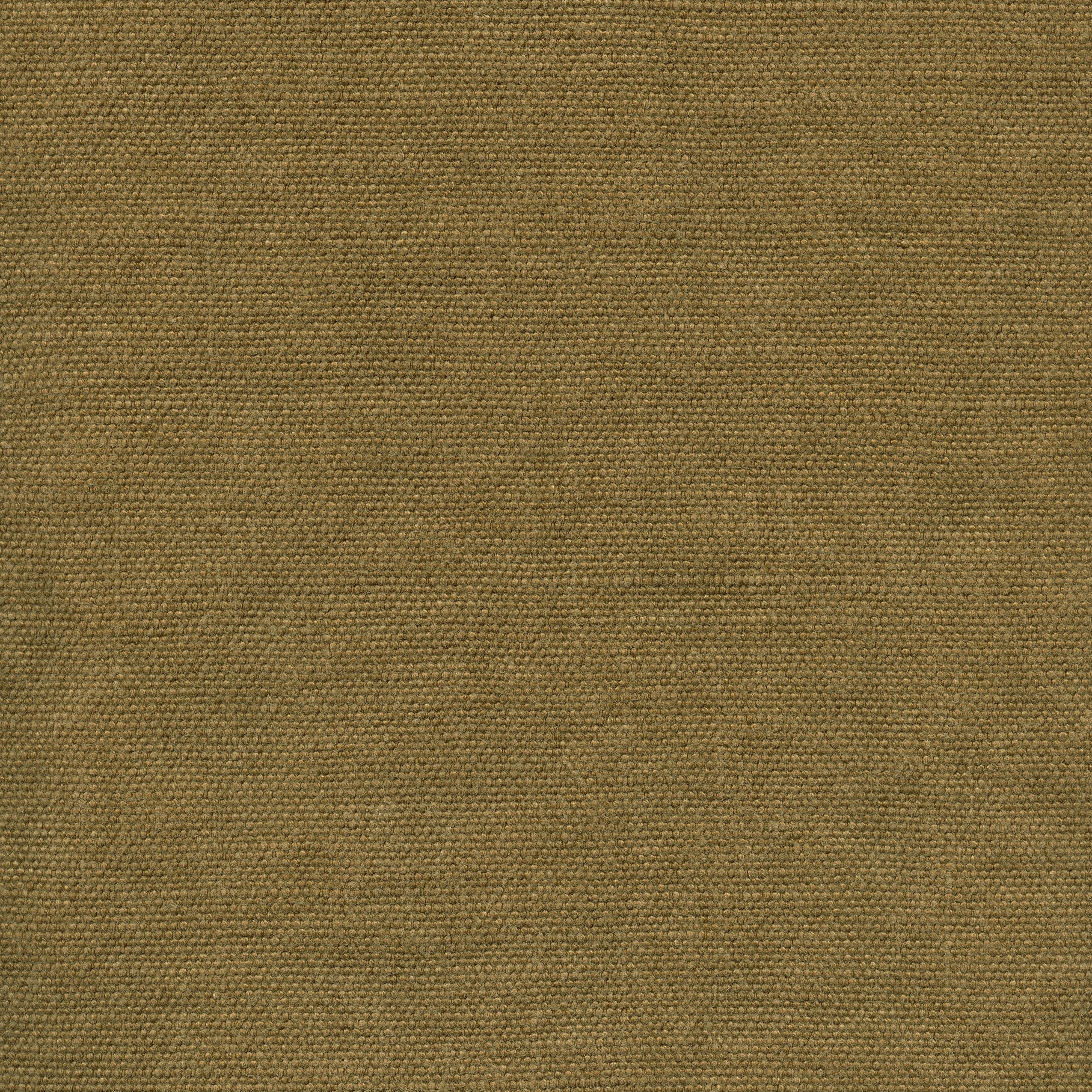 WAPPO YP24007 | Designs of the Time